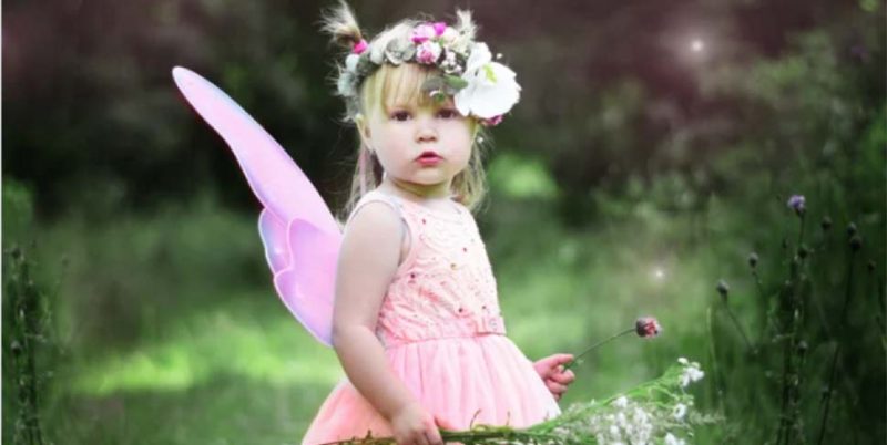 Seven Tooth Fairy Traditions from Around the World – Currey and ...